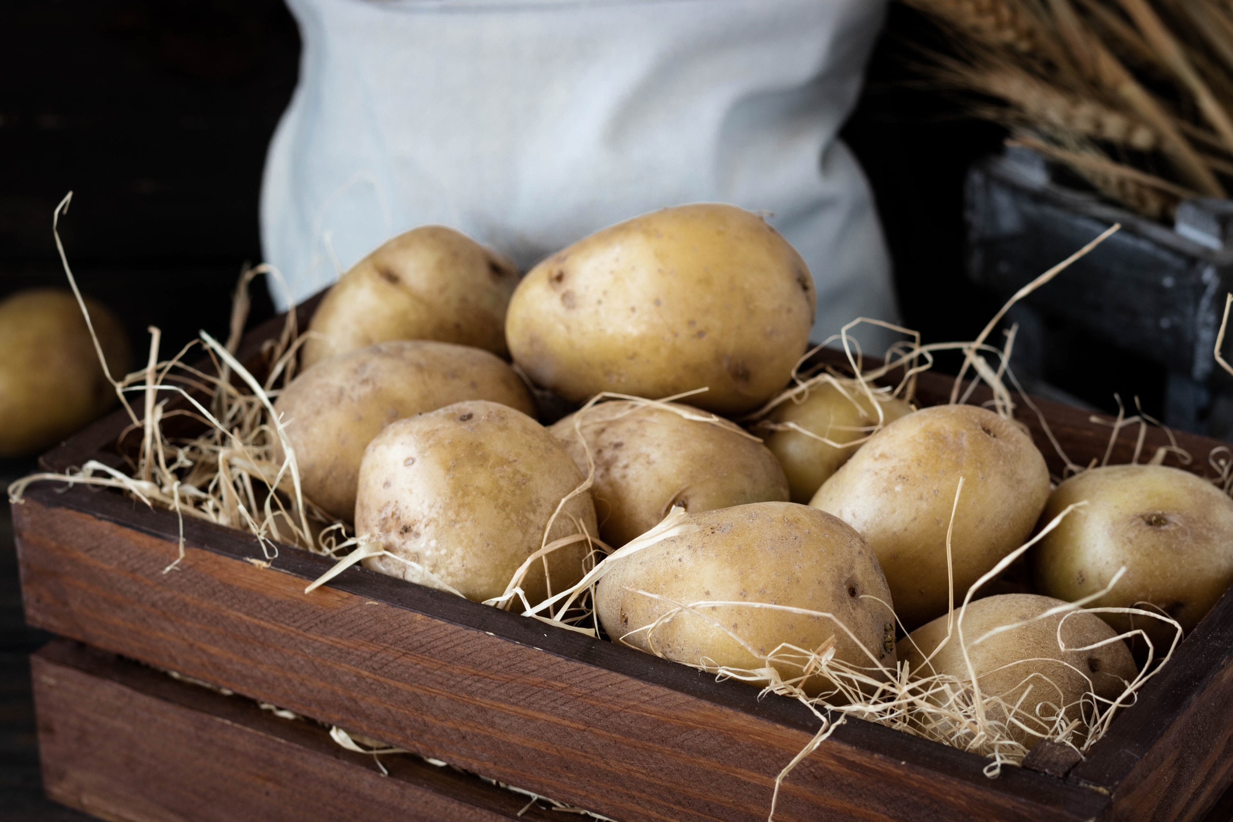 Arriva la prima Giornata Internazionale della Patata